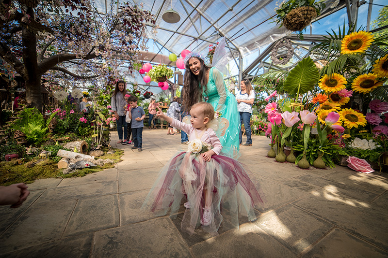 Press - Donaroma's Martha's Vineyard