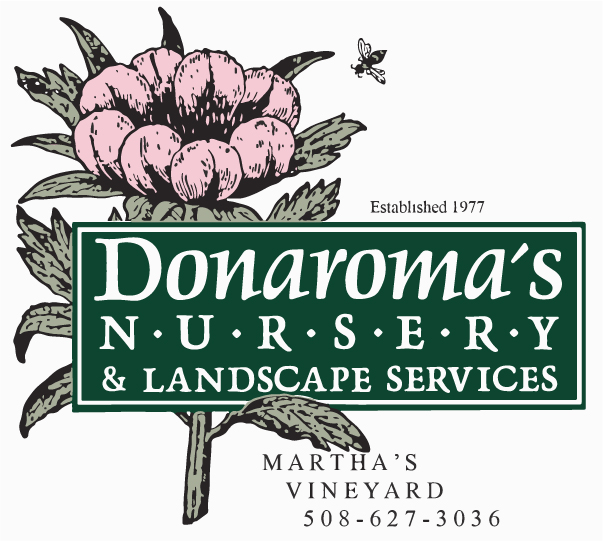 Home - Donaroma's Martha's Vineyard